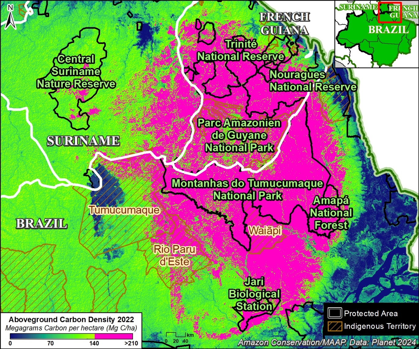 MAAP #217: Carbon across the Amazon (part 2): Peak Carbon Areas - MAAP