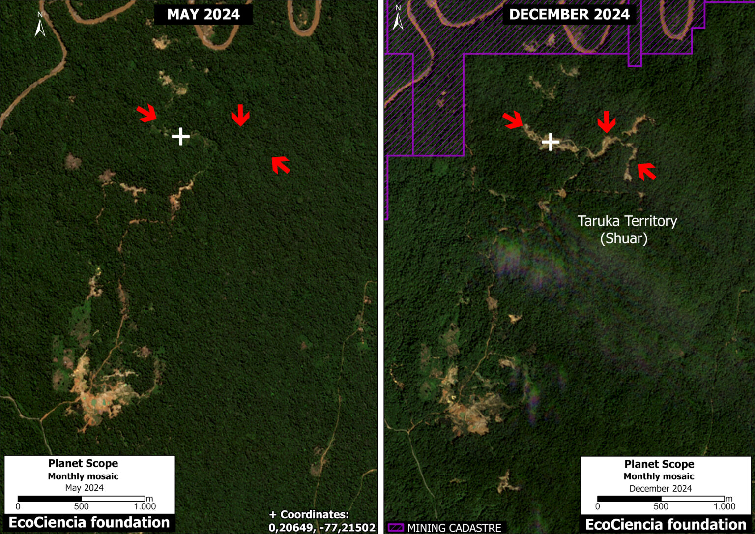 MAAP #227: Gold Mining in the Ecuadorian Amazon – Northern Sector - MAAP