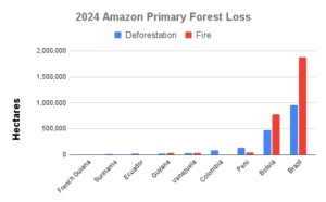 MAAP #229: Amazon Deforestation & Fire Hotspots 2024 - MAAP
