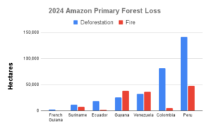 MAAP #229: Amazon Deforestation & Fire Hotspots 2024 - MAAP