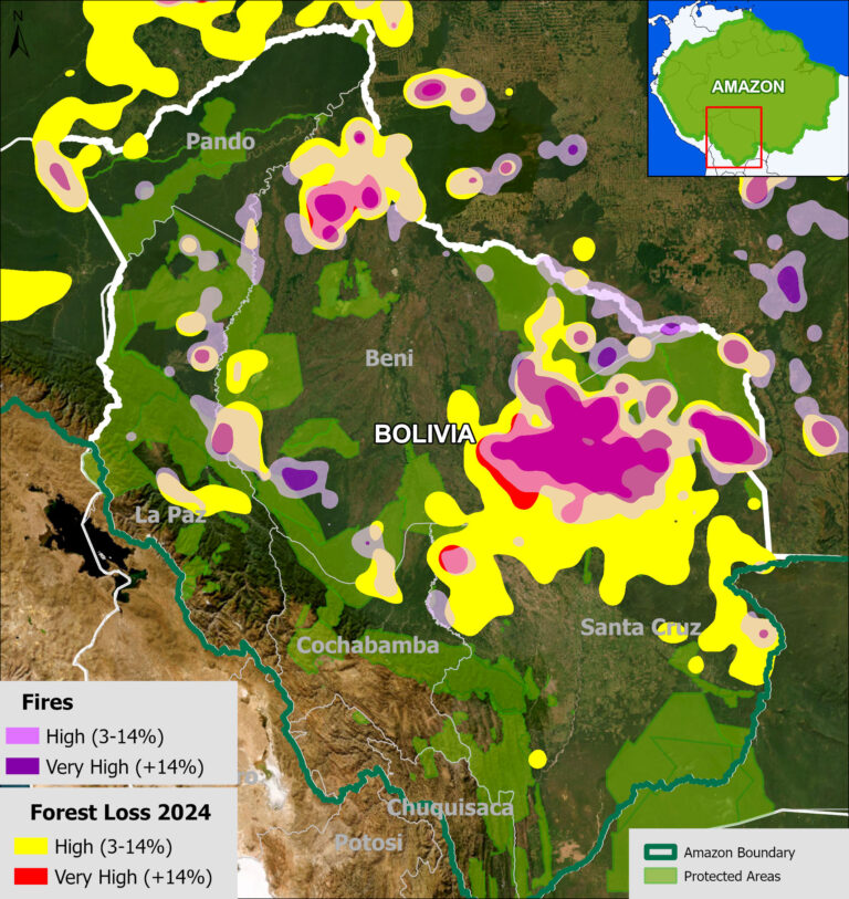MAAP #229: Amazon Deforestation & Fire Hotspots 2024 - MAAP