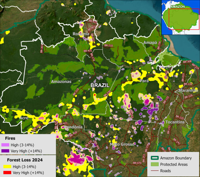 MAAP #229: Amazon Deforestation & Fire Hotspots 2024 - MAAP