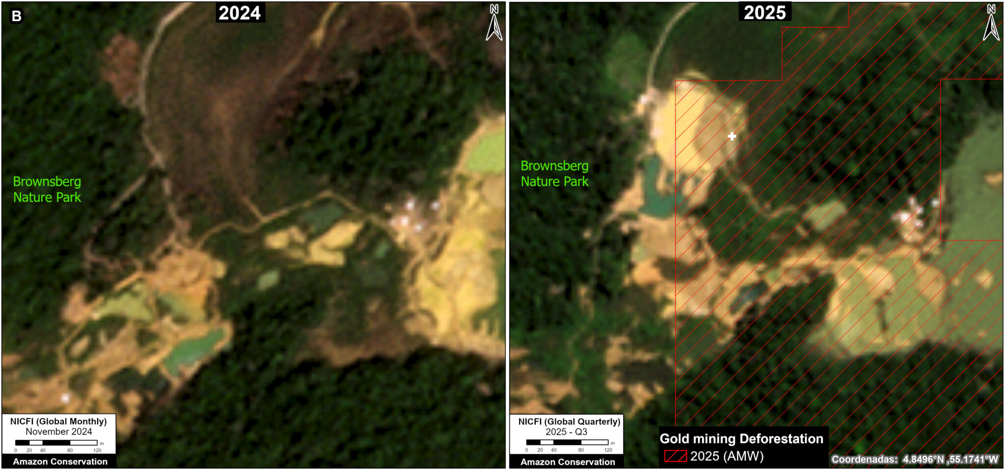 MAAP #237: Gold Mining Deforestation in Suriname: Current State ...